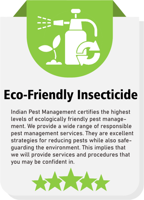 Pest Control Services | Indian Pest Management