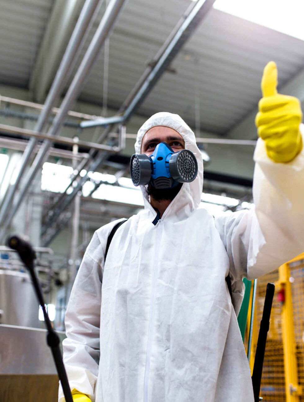 Pest Control Services | Indian Pest Management